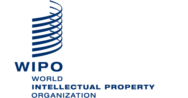 IFIA registration : Recognized as a key NGO in Switzerland